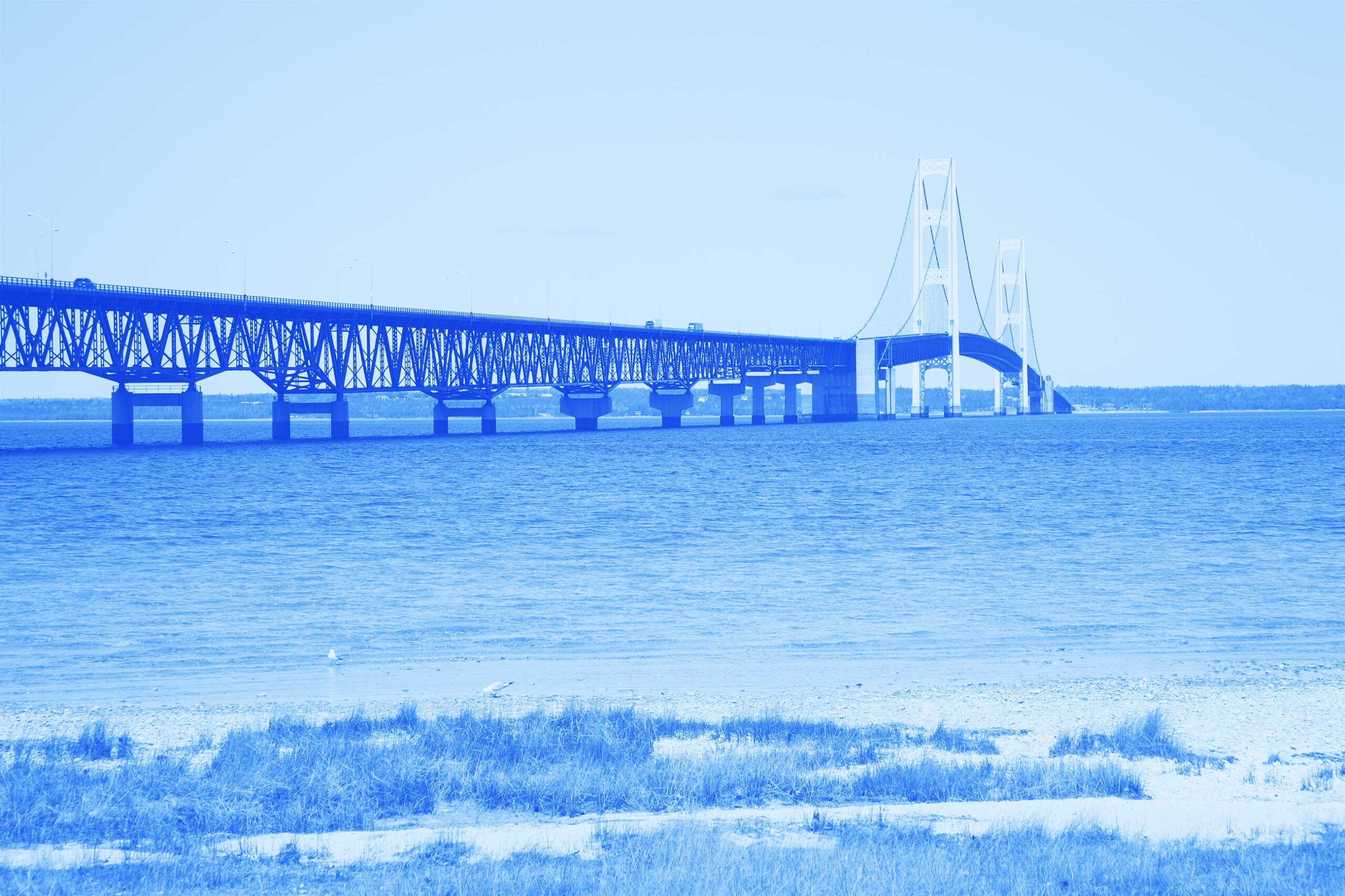 Affordable Web Design and SEO in Metro Detroit