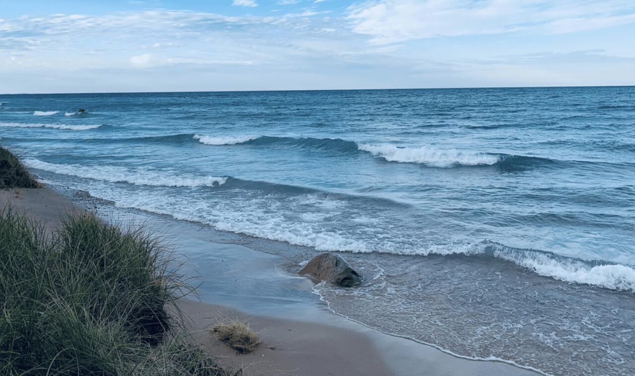 Affordable Web Design and SEO in Metro Detroit